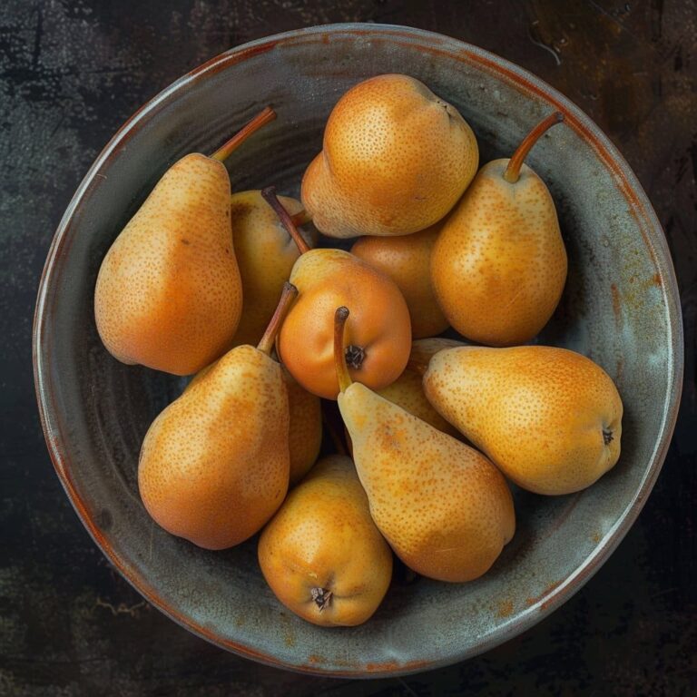 Why Are Seals So Fat?