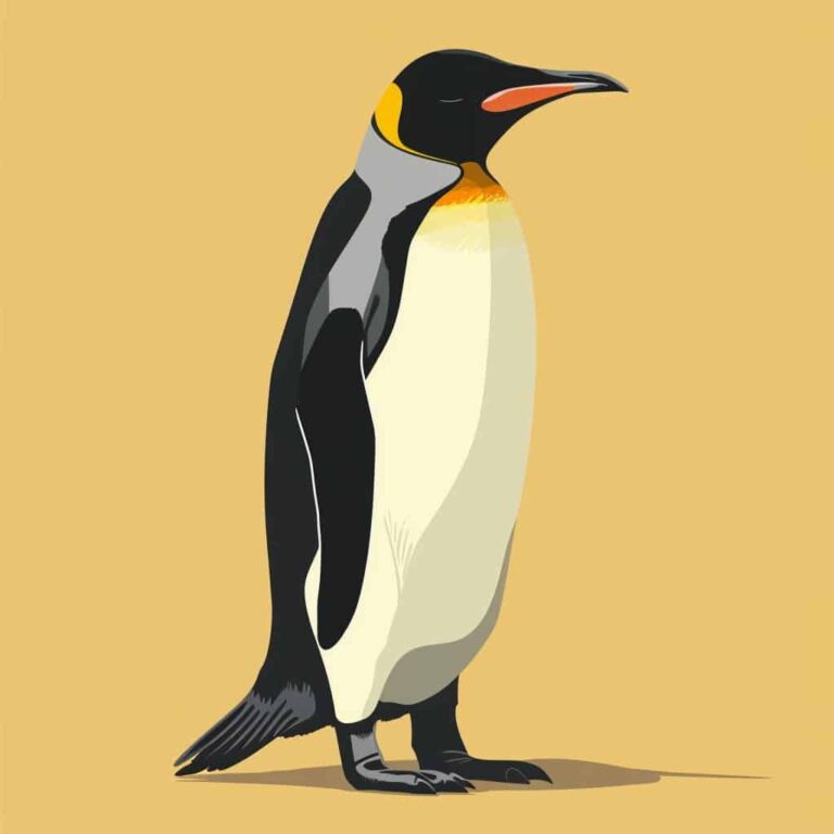 Do Penguins Have Knees? | Sarai Chinwag