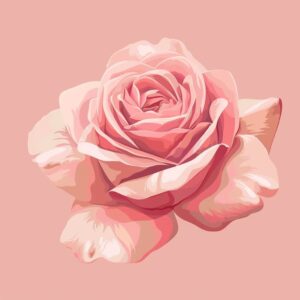 What Do Pink Roses Symbolize?