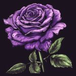 What Do Purple Roses Symbolize?