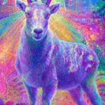 10 Amazing Facts About Goats | Sarai Chinwag